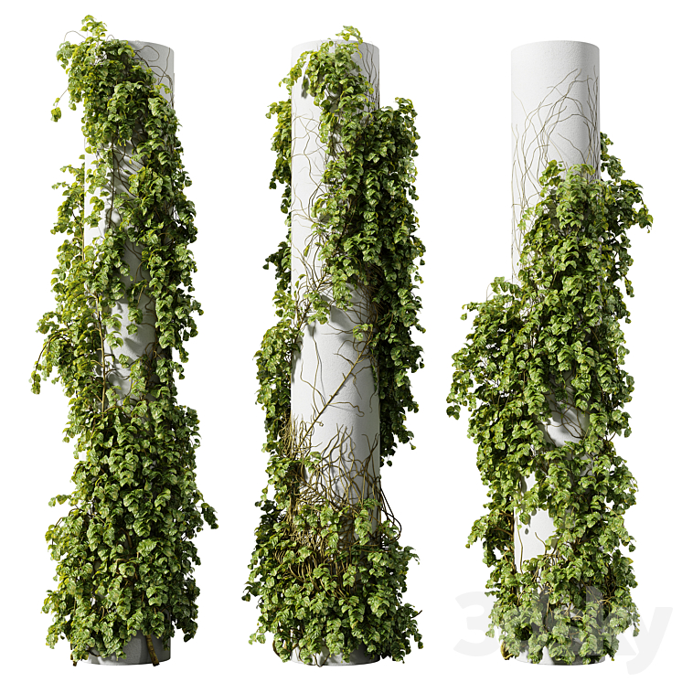 Climbing Ivy Set on Columns - Outdoor - 3D model