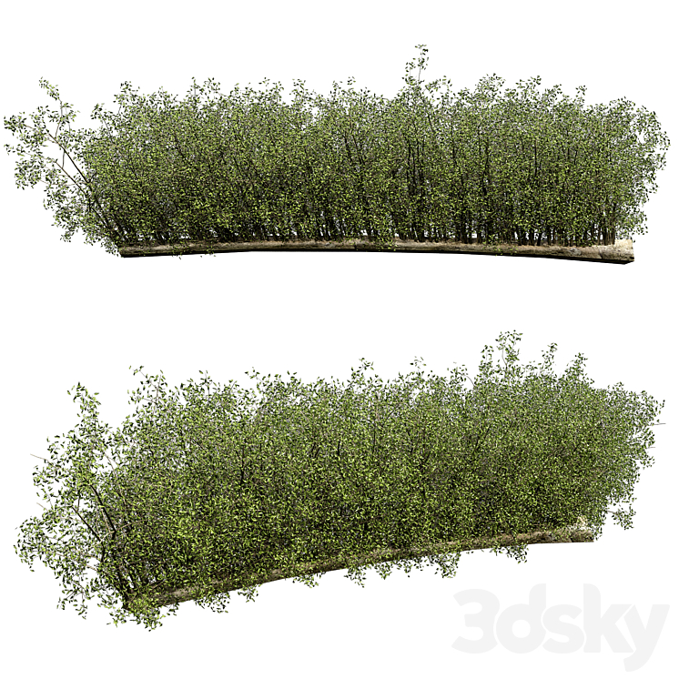 Curved Natural Shrub Fence - Bush - 3D model
