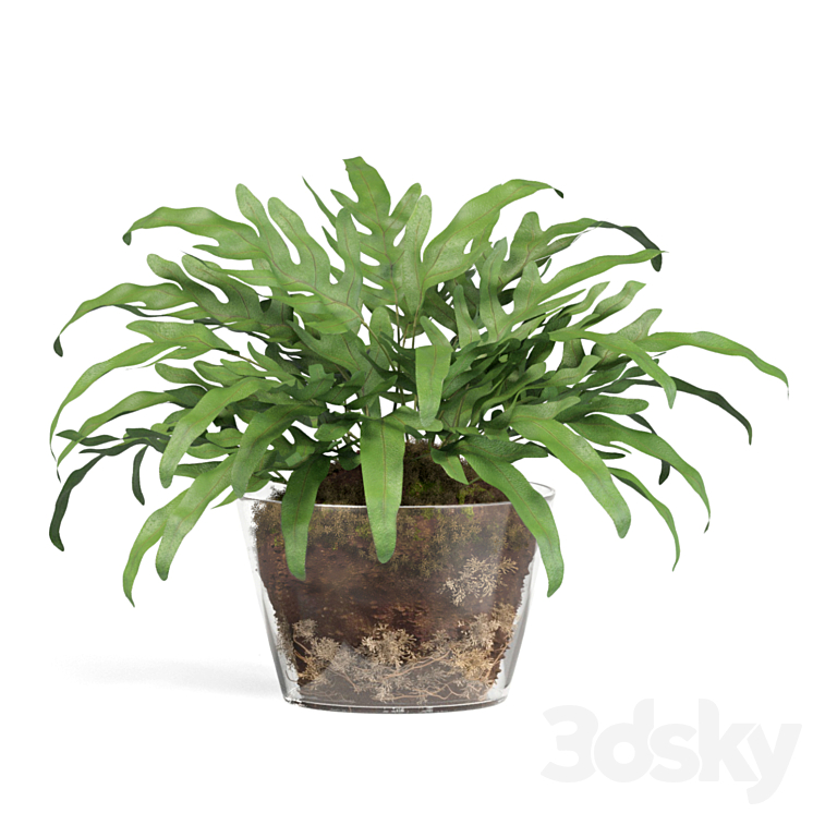 Treez set 76 - Indoor - 3D model