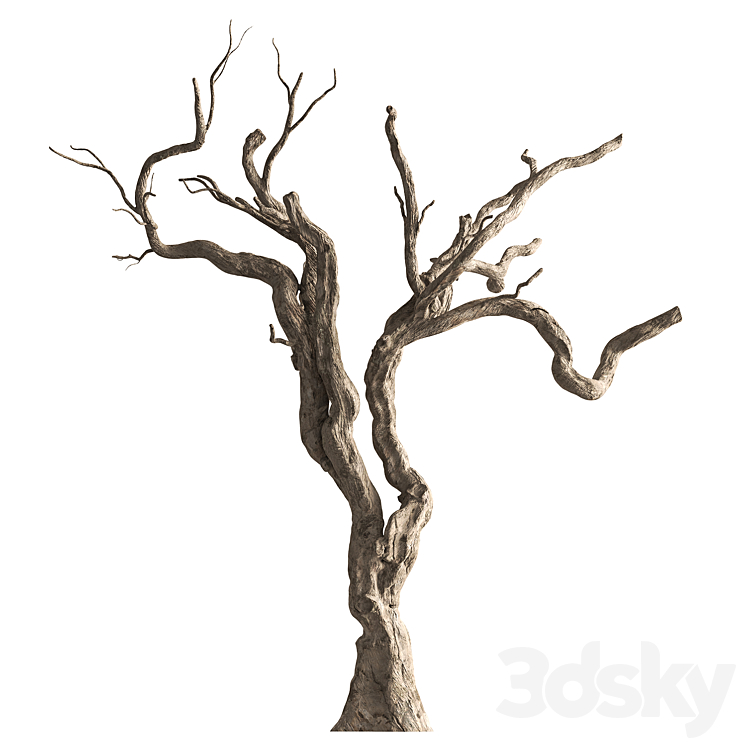 Dry Trunk Tree Set 418 - Tree - 3D model