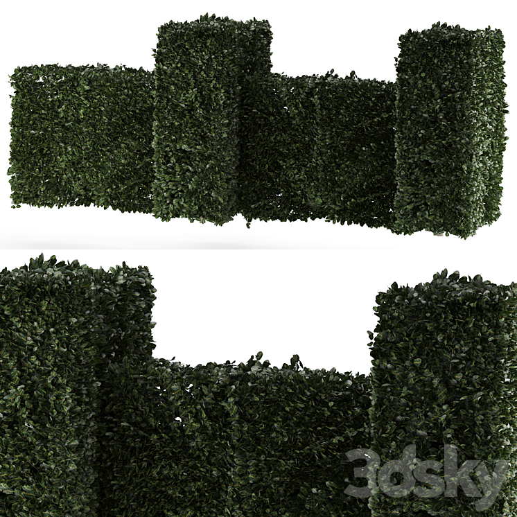 Bush 02 - Bush - 3D model