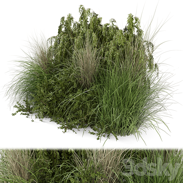 Outdoor Plants Bush_Bush Set 3492 - Bush - 3D model