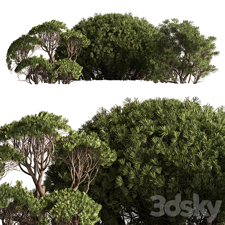 Mix Bush Set 170 - Bush - 3D model