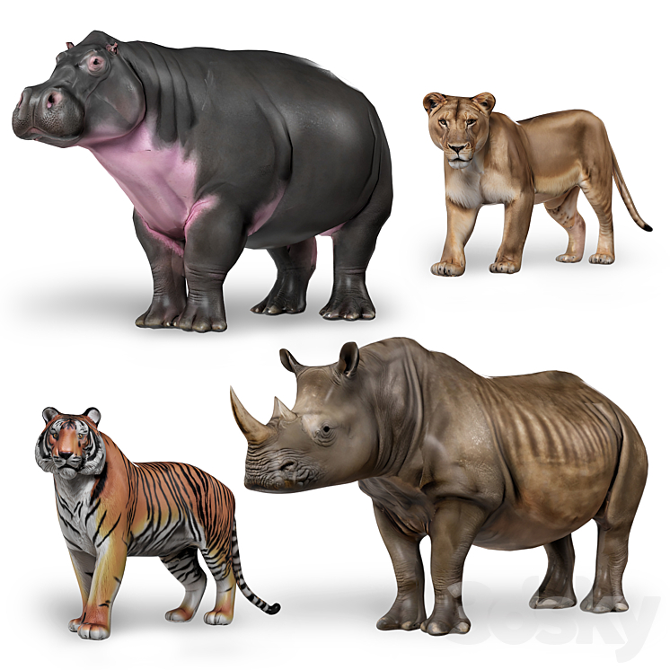 Zoo Animals 3 - Creature - 3D model