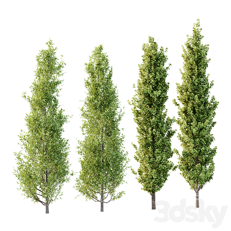 Different Trees 33 - Tree - 3D model