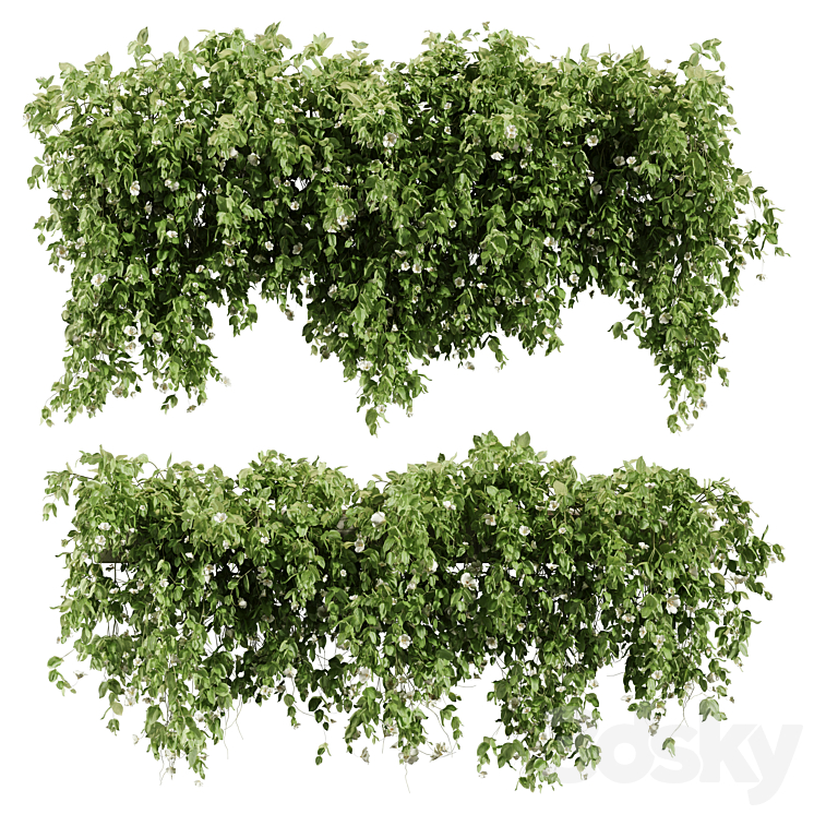 Hanging Ivy Set 02 - Outdoor - 3D model