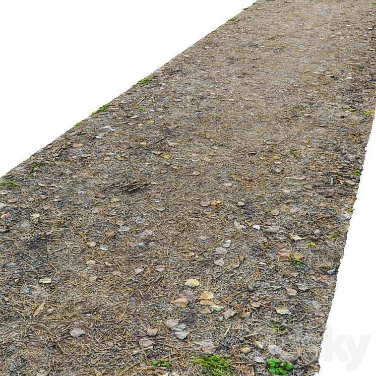 Coniferous park path 01. 10 meters - Environment elements - 3D model