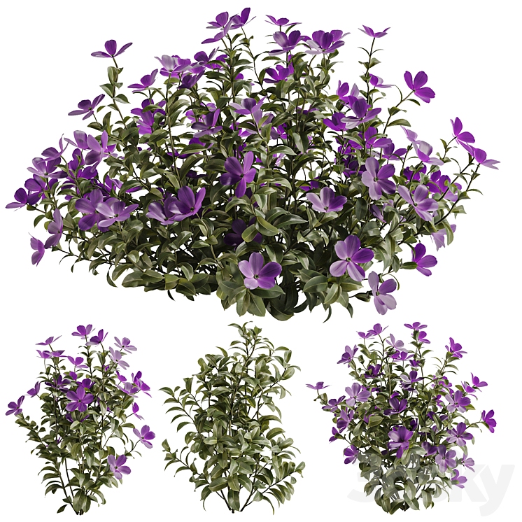 Purple Phlox Bush Arrangement - Bush - 3D model