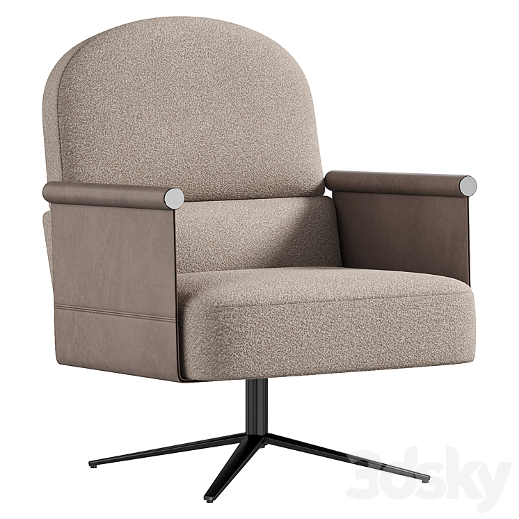 Beyl armchair by Ditre Italia - Arm chair - 3D model
