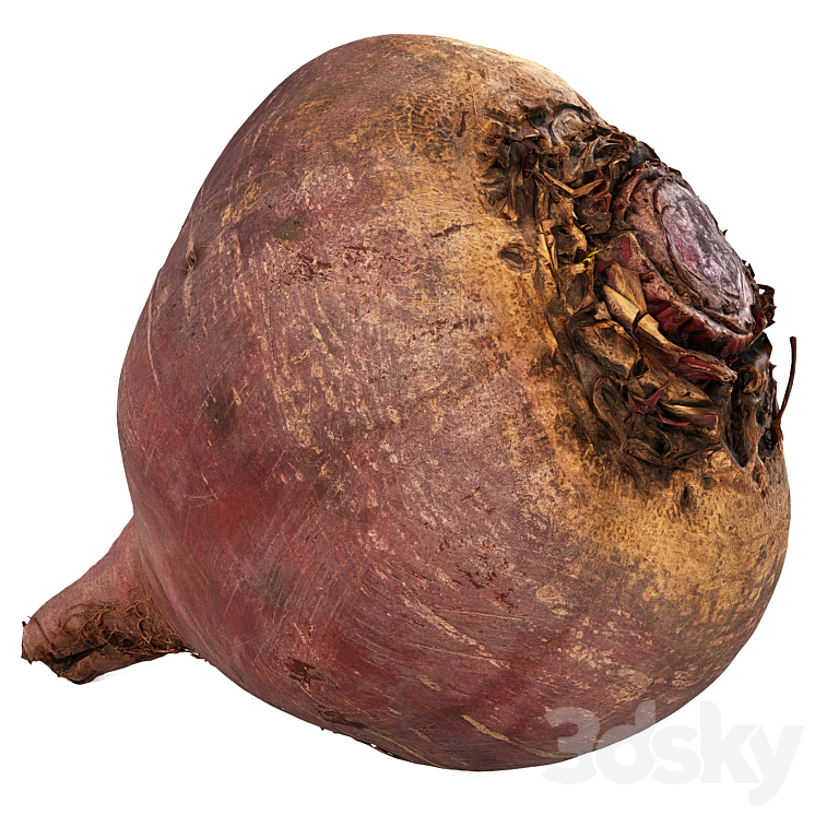 4k Beets - Food and drinks - 3D model