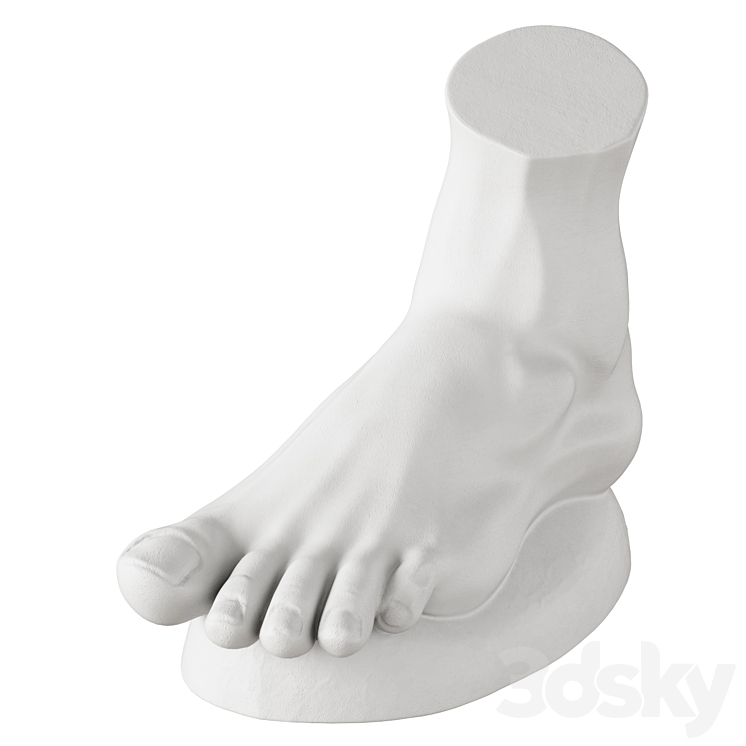 Plaster foot - Sculpture - 3D model
