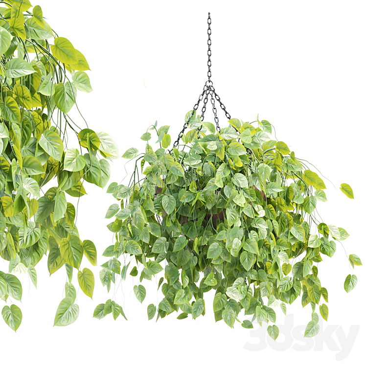 Hanging Plant 3D Model Vol 326 - Indoor - 3D model