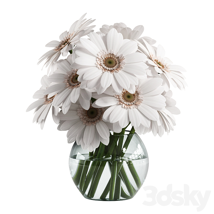 A small bouquet of white Gerbera flowers - Bouquet - 3D model