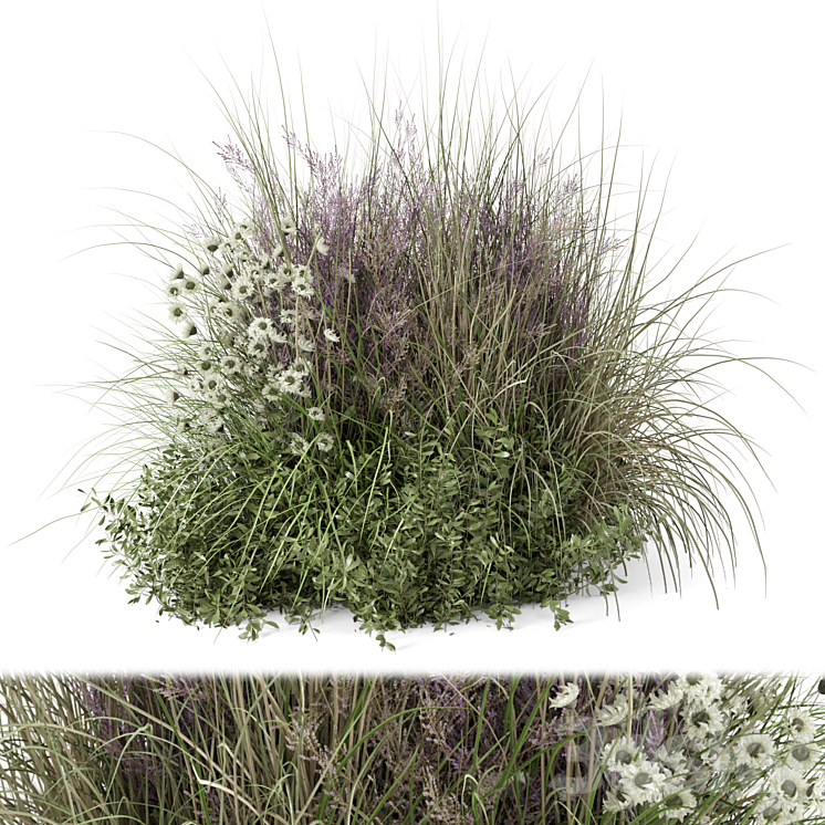 Outdoor Plants Bush_Bush Set 4158 - Bush - 3D model