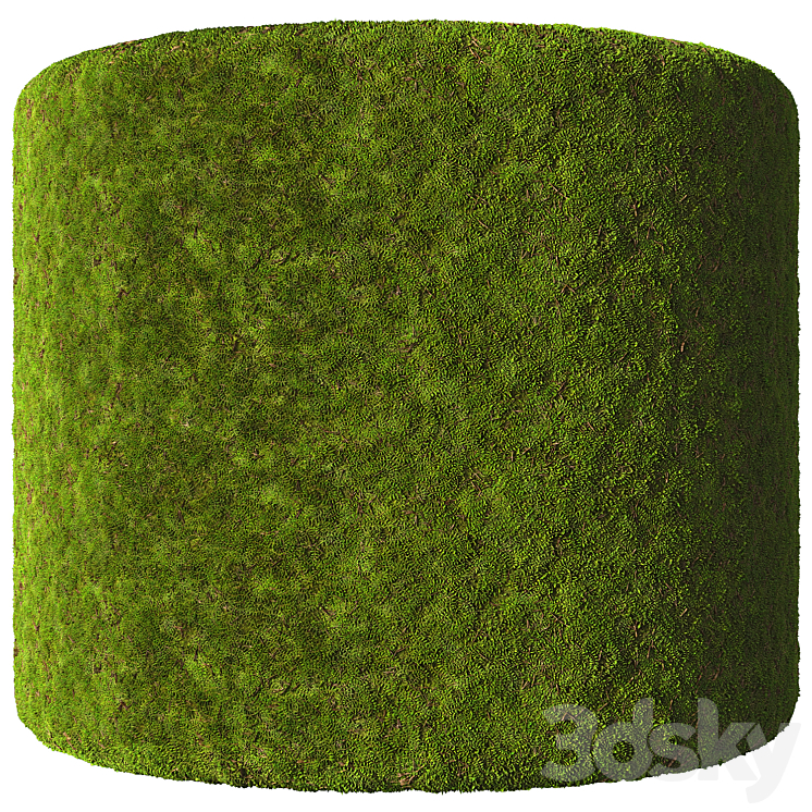 Seamless moss with grass, material mossy ground earth grass green ...