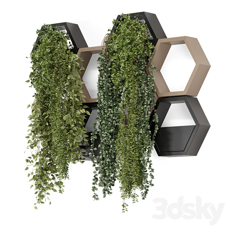 Indoor Hanging Petus Plants_Set 4182 - Indoor - 3D model