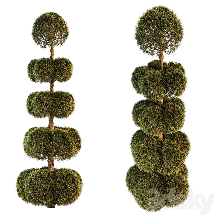 Shaped Garden Topiary - Tree - 3D model