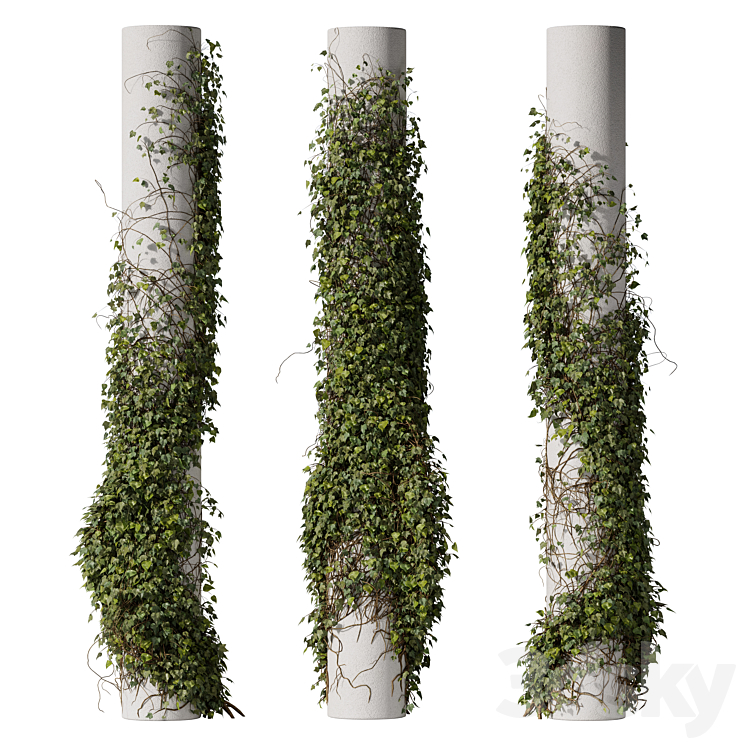 Ivy on Columns - Vol 05 - Outdoor - 3D model