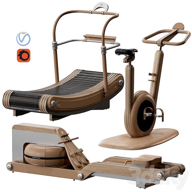 Pent Luxury Fitness Equipment Set – Irena Curve Treadmill, Visla Rowing ...