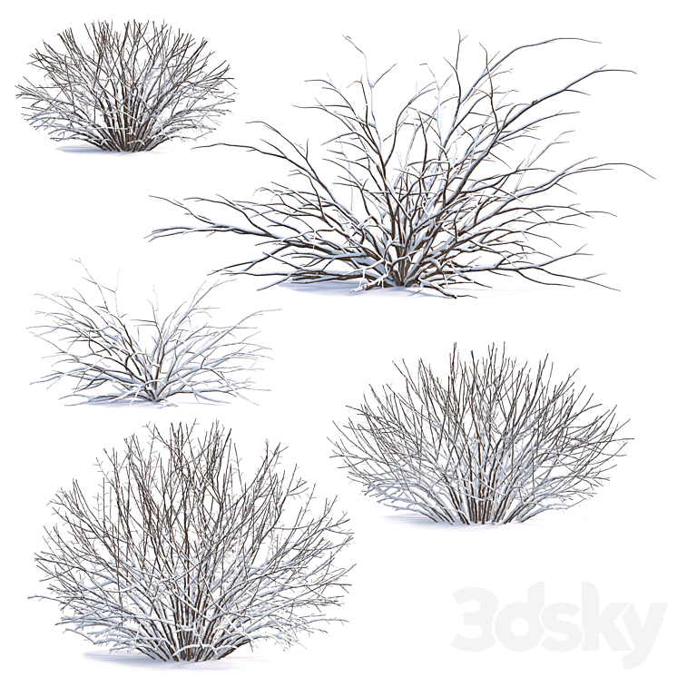 Winter Bush Set 02 - Bush - 3D model