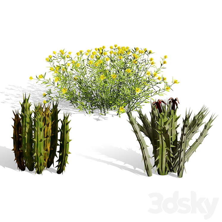 Arabian Desert Plants 3D Models - Outdoor - 3D model
