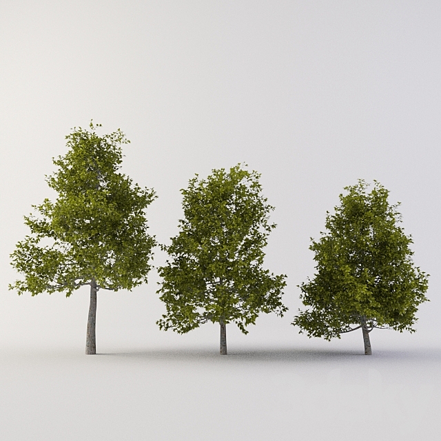 Tree 3D Max - 3DMAXTER