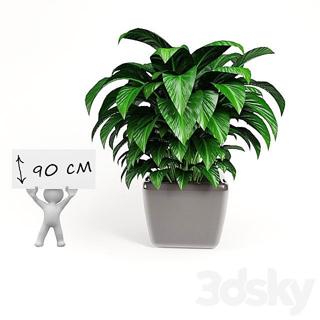 plant 3D Max - 3DMAXTER