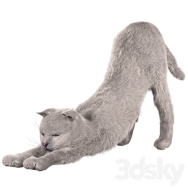 Cat Martin 3D Max - 3DMAXTER