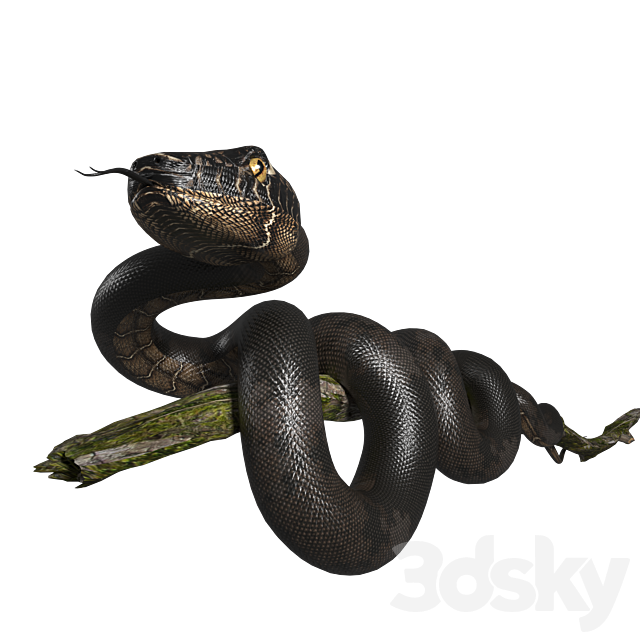 Snake 3D Max - 3DMAXTER