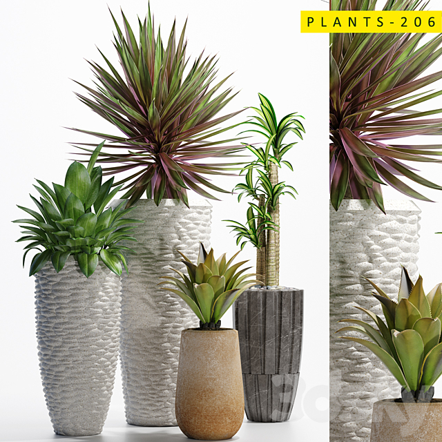 plants_206 3D Max - 3DMAXTER