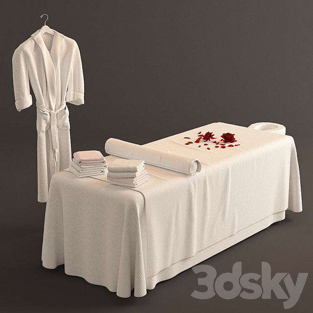 Spa Bed Massage Table 2 3D Max - 3DMAXTER