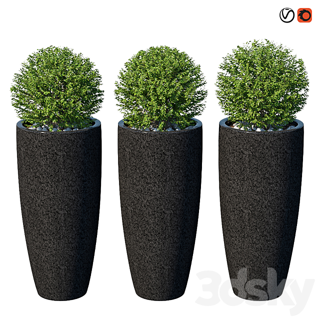 Street bushes in pots VIII 3D Max - 3DMAXTER