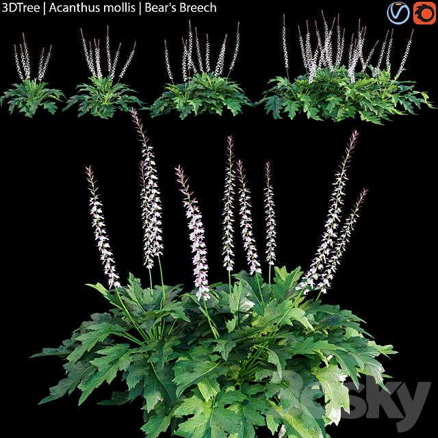 Grass 3D Models Free Download - 3DMaxter