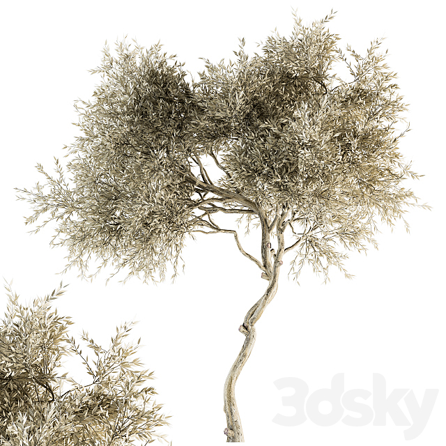 Tree Broadleaf Dried - Set 30 3D Max - 3DMAXTER