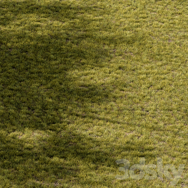 Short Grass Set 29 3D Max - 3DMAXTER
