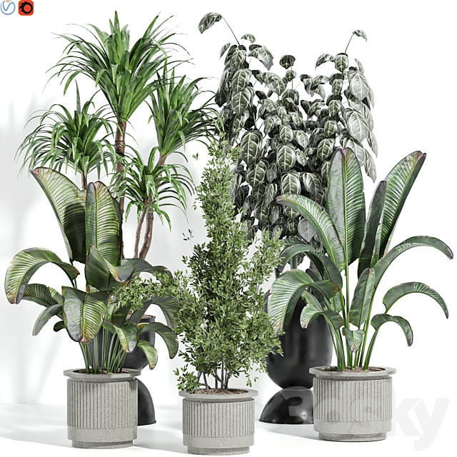 Indoor plants 42 3D Max - 3DMAXTER